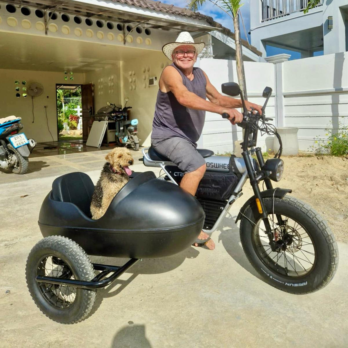 Coswheel CT20/CT20S Electric Bike Sidecar
