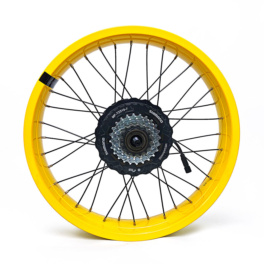 Coswheel GT20 Ebike Motor – COSWHEEL EU Official